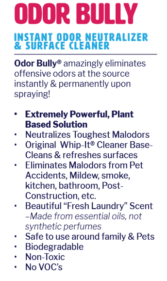 Odor Bully Odor Neutralizer And Multi-Surface Cleaner Spray 32 OZ Ready ...