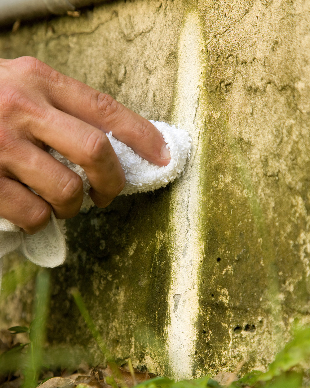 Whip-It Professional Strength Multi-Purpose Stain Remover Spray 32 OZ ...