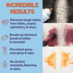 Whip-It® Pro Kit - Whip-It® Cleaner & Stain Remover