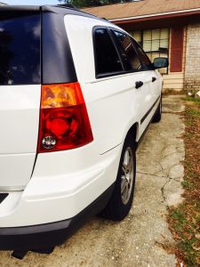 Whip-It® Pro Kit - Whip-It® Cleaner & Stain Remover