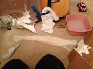 Whip-It® Pro Kit - Whip-It® Cleaner & Stain Remover