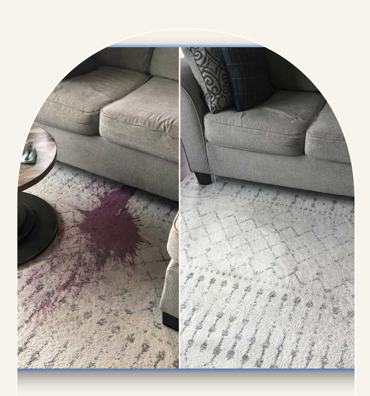 STAIN REMOVER - Whip-It® Cleaner & Stain Remover