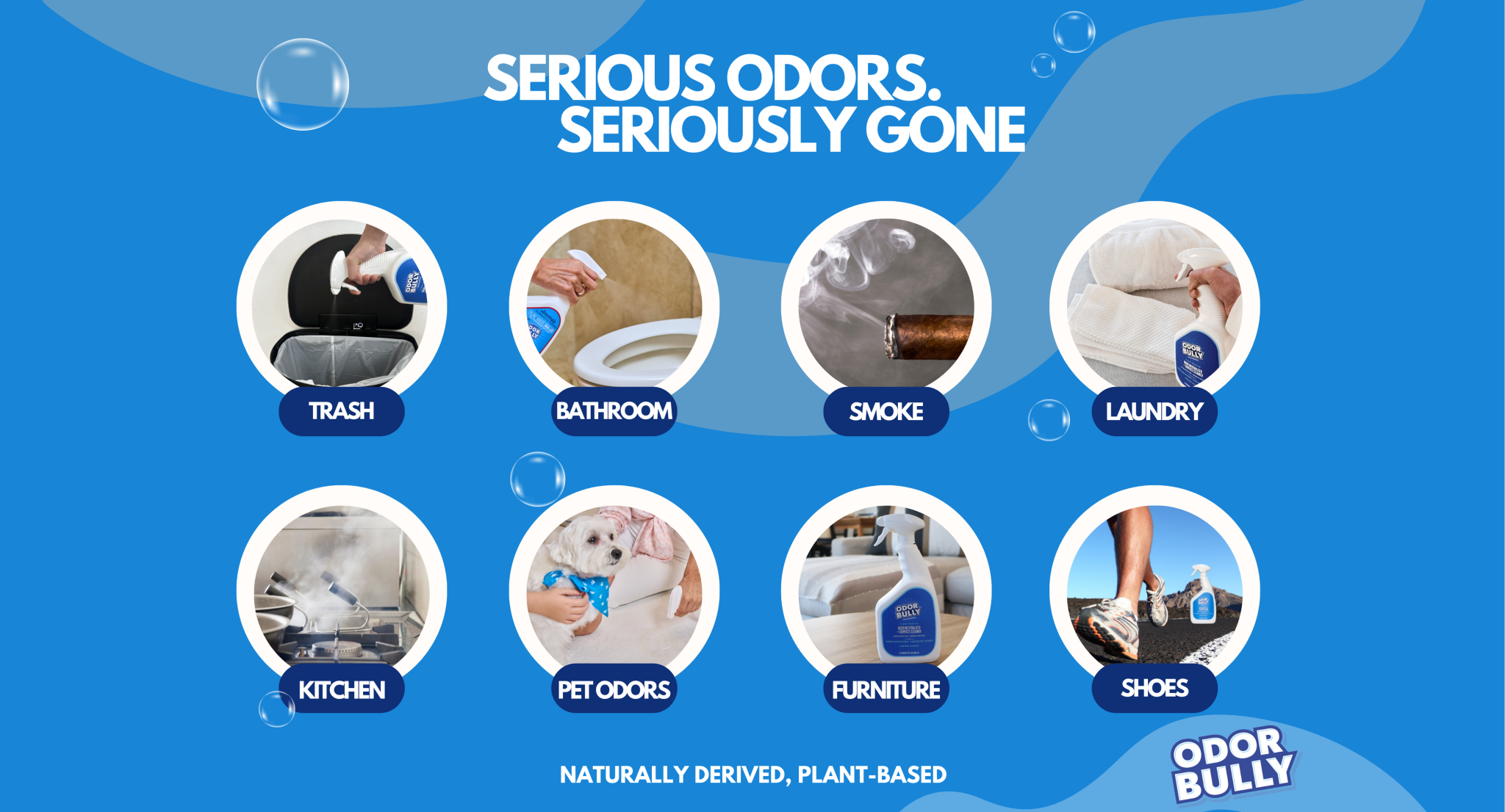 ODOR CONTROL - Whip-It® Cleaner & Stain Remover